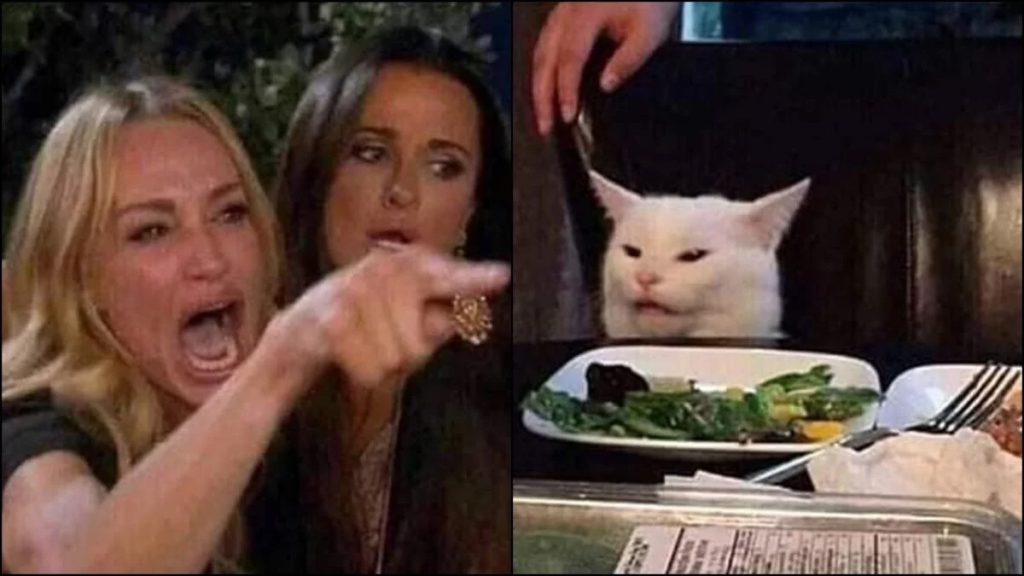 ¿Cuál es el origen del meme del gato en la mesa? - Santa Marta Al Día