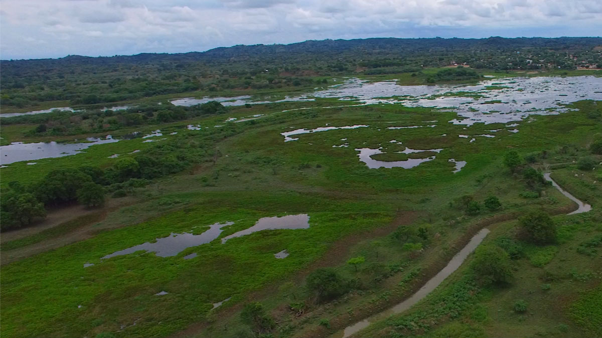Corpamag realizó obras de dragado y terraplenes en el caño Cotoré en ...