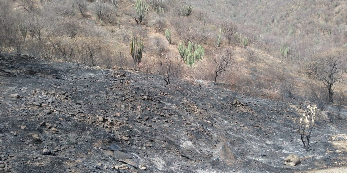 Incendio en el cerro del Ziruma - Santa Marta Al Día