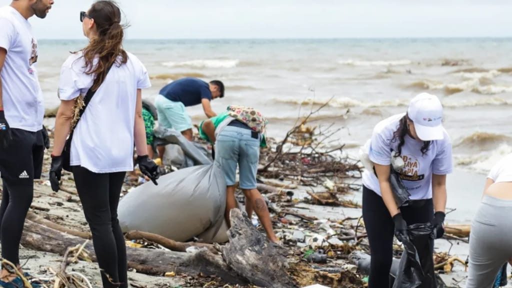 DADSA acompañó jornada de limpieza en el sector de Los Cocos - Santa Marta Al Día