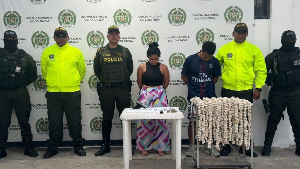 Cayeron con 2.500 huevos de iguana en Ciénaga - Santa Marta Al Día