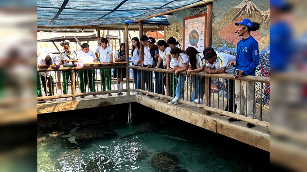 Fundación CIM Caribe y el Centro de Vida Marina inspiraran el amor por los océanos en los niños ...