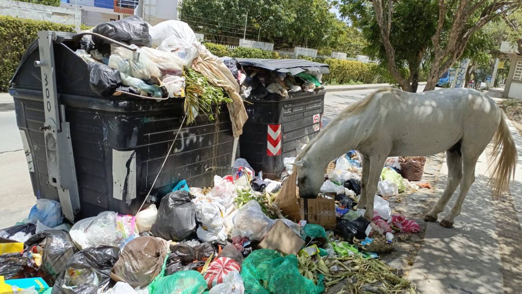 Contenedores colapsados convierten el Centro Histórico en un basurero a ...
